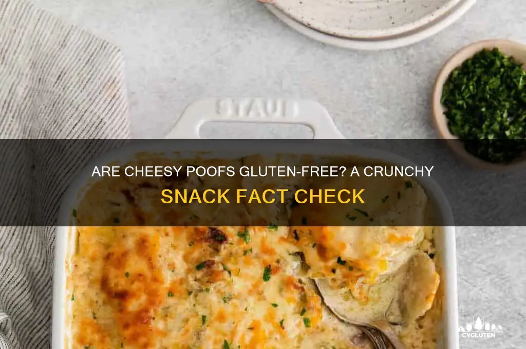 Are Cheesy Poofs Gluten-Free? A Crunchy Snack Fact Check | CyGluten