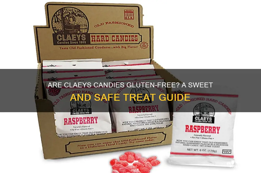 Are Claeys Candies Gluten-Free? A Sweet And Safe Treat Guide | CyGluten