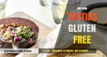 Are Corn Tortillas Gluten-Free? A Complete Guide For Celiac Diets ...