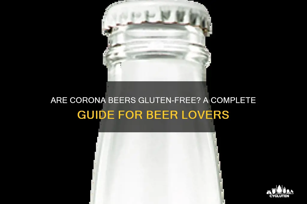 Are Corona Beers Gluten-Free? A Complete Guide For Beer Lovers | CyGluten