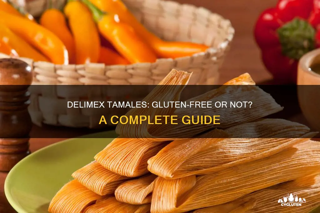 Delimex Tamales: Gluten-Free Or Not? A Complete Guide | CyGluten