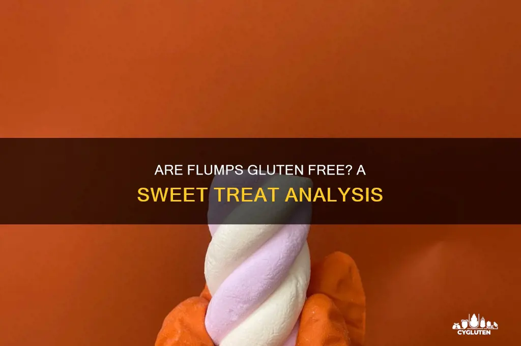 Are Flumps Gluten Free? A Sweet Treat Analysis | CyGluten