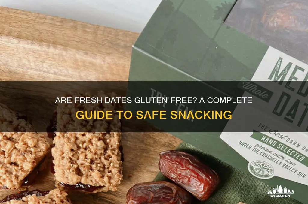 Are Fresh Dates Gluten-Free? A Complete Guide To Safe Snacking | CyGluten
