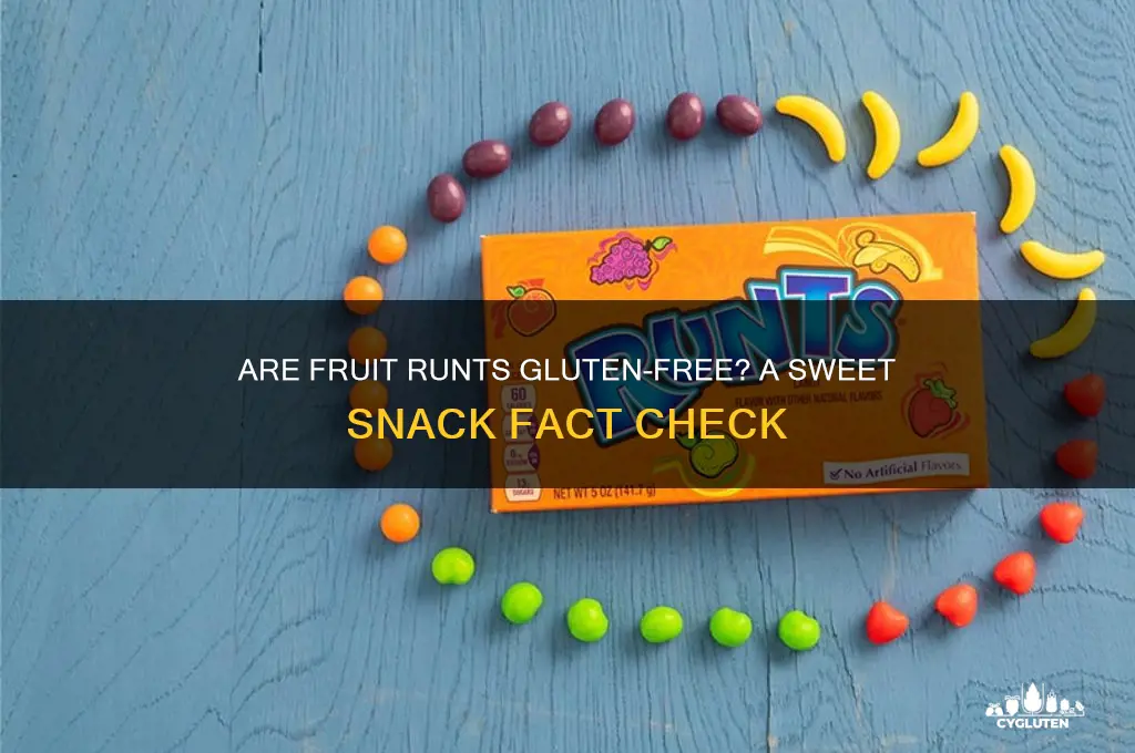 Are Fruit Runts Gluten-Free? A Sweet Snack Fact Check | CyGluten