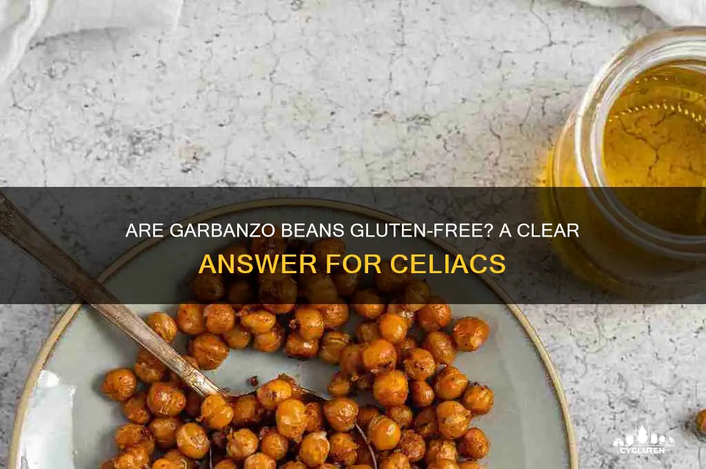Are Garbanzo Beans Gluten-Free? A Clear Answer For Celiacs | CyGluten