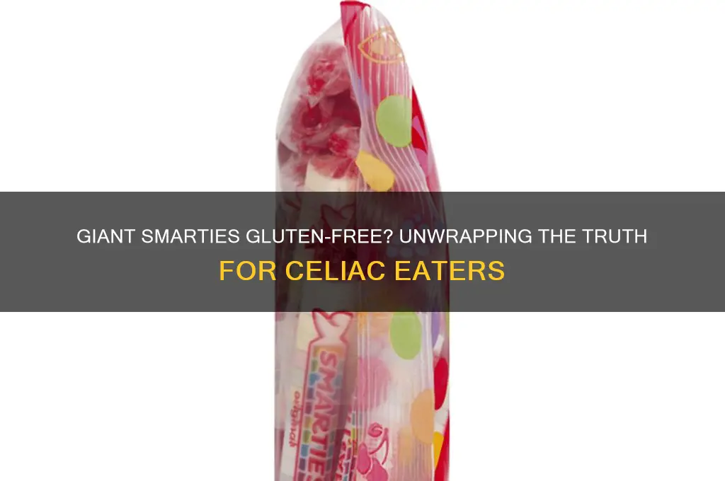 Giant Smarties Gluten-Free? Unwrapping The Truth For Celiac Eaters ...
