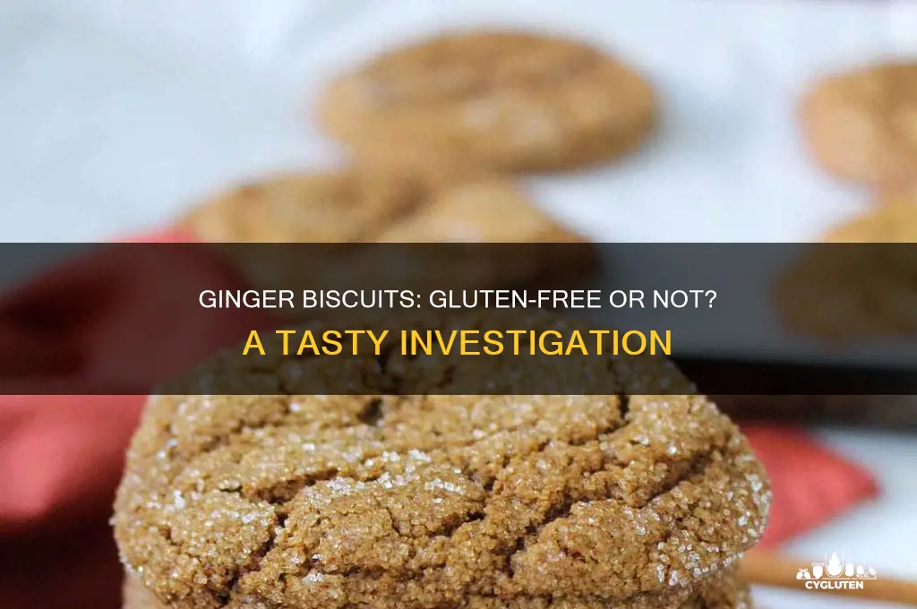 Ginger Biscuits: Gluten-Free Or Not? A Tasty Investigation | CyGluten