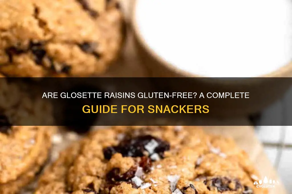 Are Glosette Raisins Gluten-Free? A Complete Guide For Snackers | CyGluten