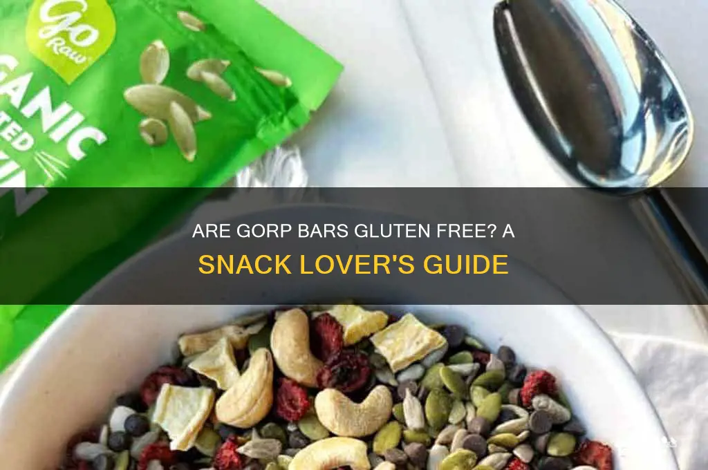 Are Gorp Bars Gluten Free? A Snack Lover's Guide | CyGluten