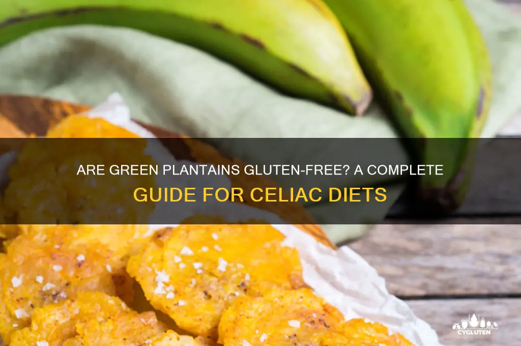 Are Plantains Gluten Free