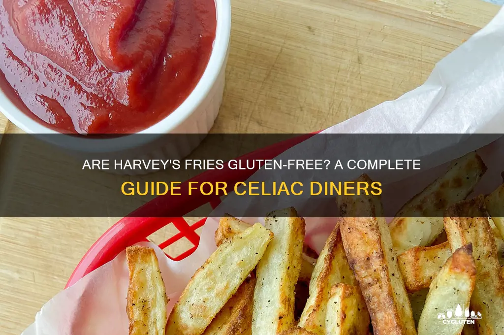 Are Harvey's Fries Gluten-Free? A Complete Guide For Celiac Diners ...