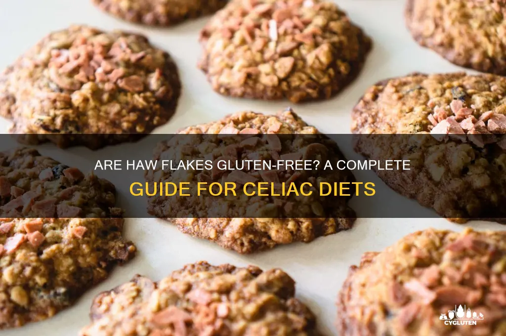 Are Haw Flakes Gluten-Free? A Complete Guide For Celiac Diets | CyGluten