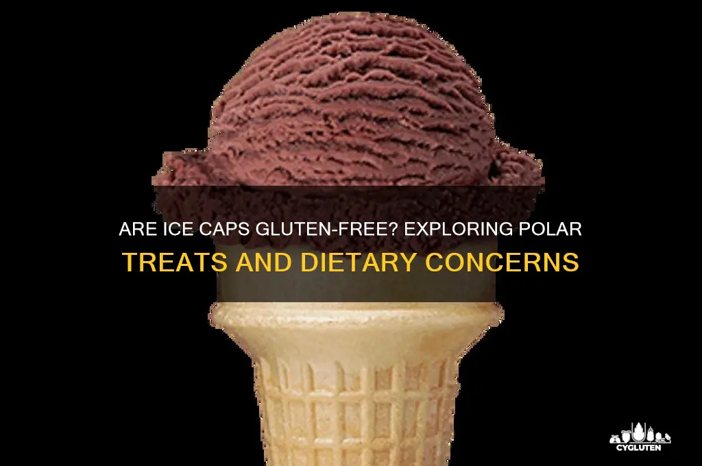 Are Ice Caps Gluten-Free? Exploring Polar Treats And Dietary Concerns ...