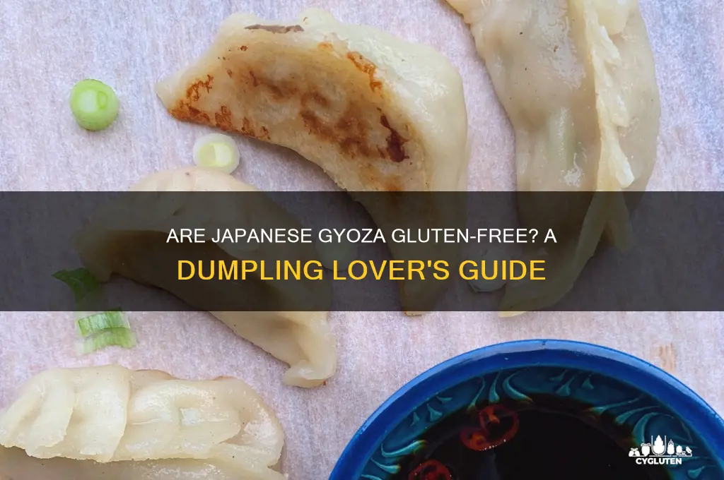 Are Japanese Gyoza Gluten-Free? A Dumpling Lover's Guide | CyGluten