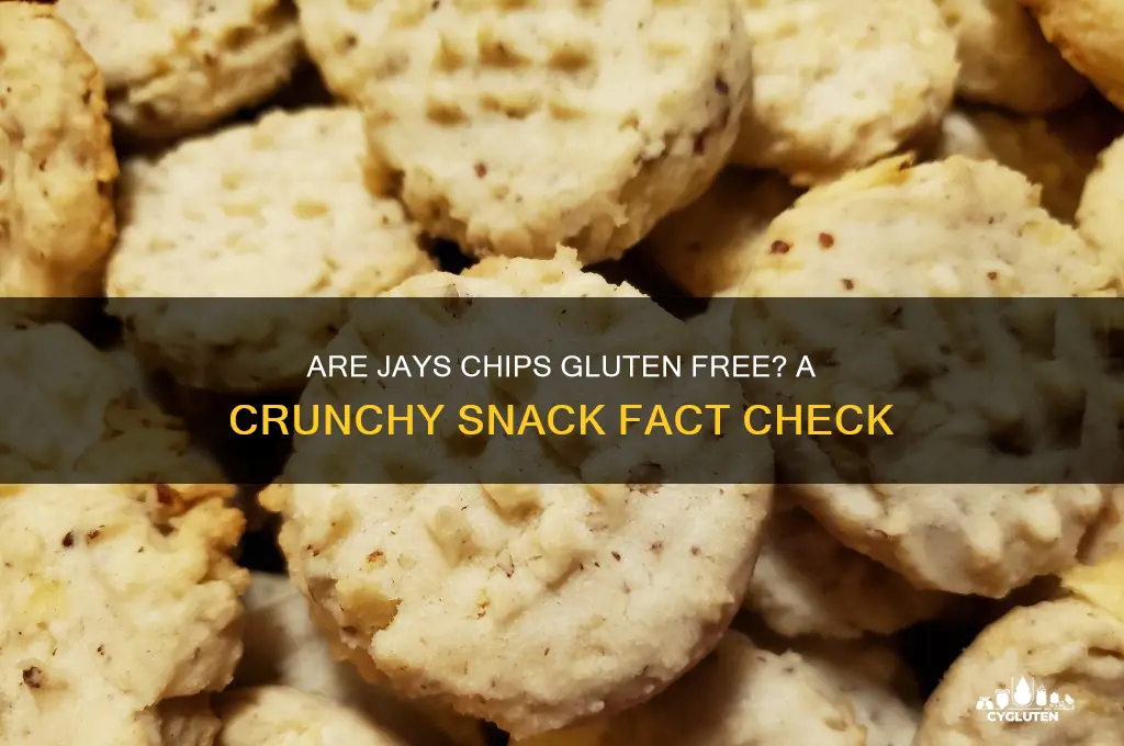 Are Jays Chips Gluten Free? A Crunchy Snack Fact Check | CyGluten