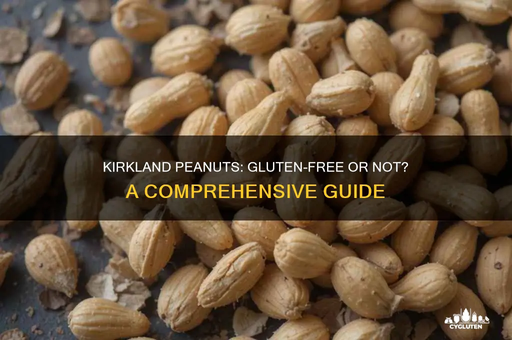 Kirkland Peanuts: Gluten-Free Or Not? A Comprehensive Guide | CyGluten