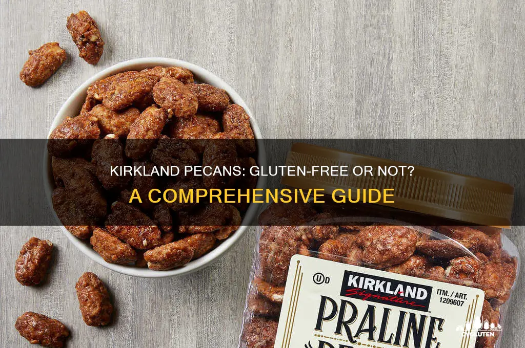 Kirkland Pecans: Gluten-Free Or Not? A Comprehensive Guide | CyGluten