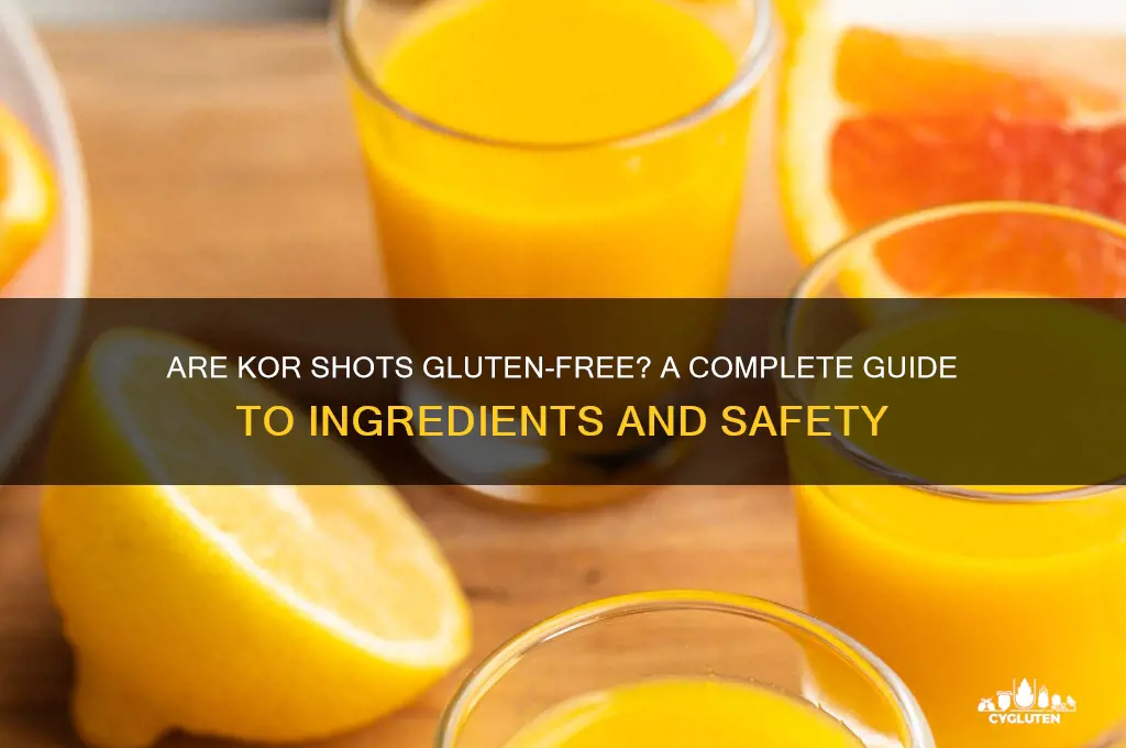 Are Kor Shots Gluten-Free? A Complete Guide To Ingredients And Safety ...