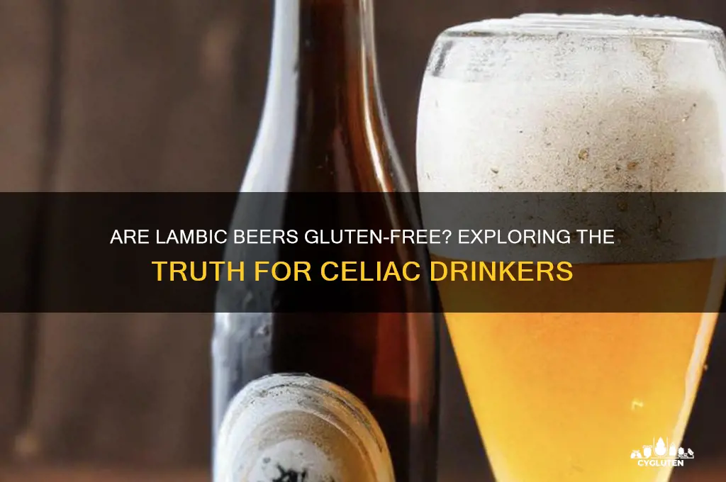 Are Lambic Beers Gluten-Free? Exploring The Truth For Celiac Drinkers ...