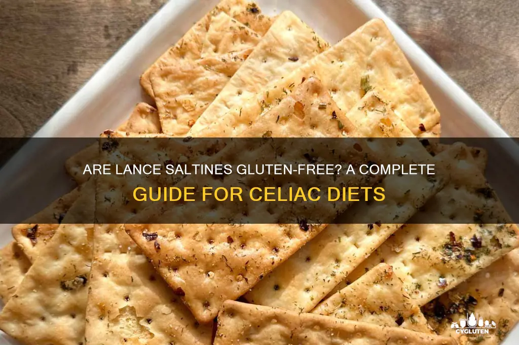 Are Lance Saltines Gluten-Free? A Complete Guide For Celiac Diets ...