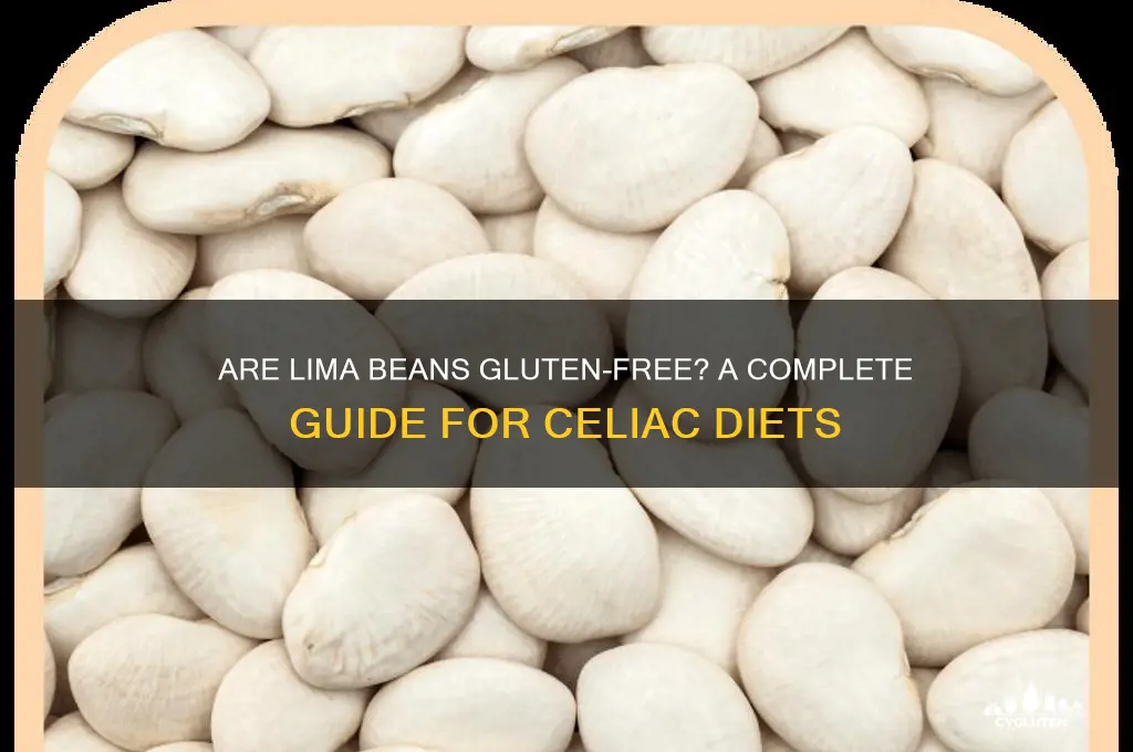 Are Lima Beans Gluten-Free? A Complete Guide For Celiac Diets | CyGluten