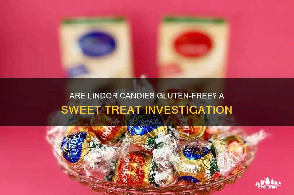Are Lindor Candies Gluten-Free? A Sweet Treat Investigation | CyGluten