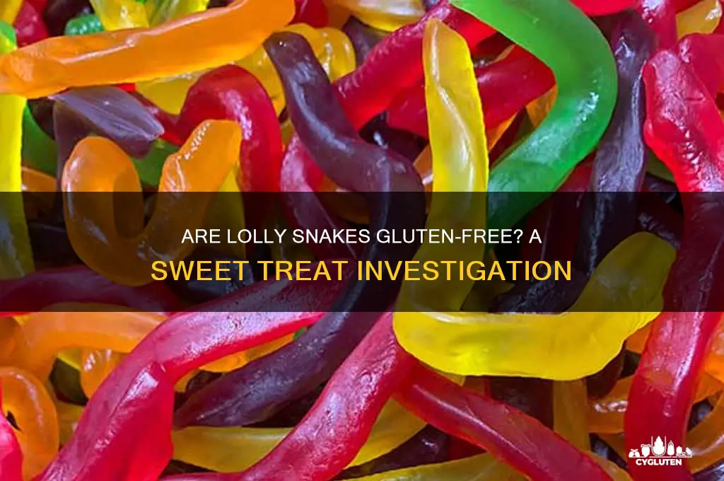 Are Lolly Snakes Gluten-Free? A Sweet Treat Investigation | CyGluten