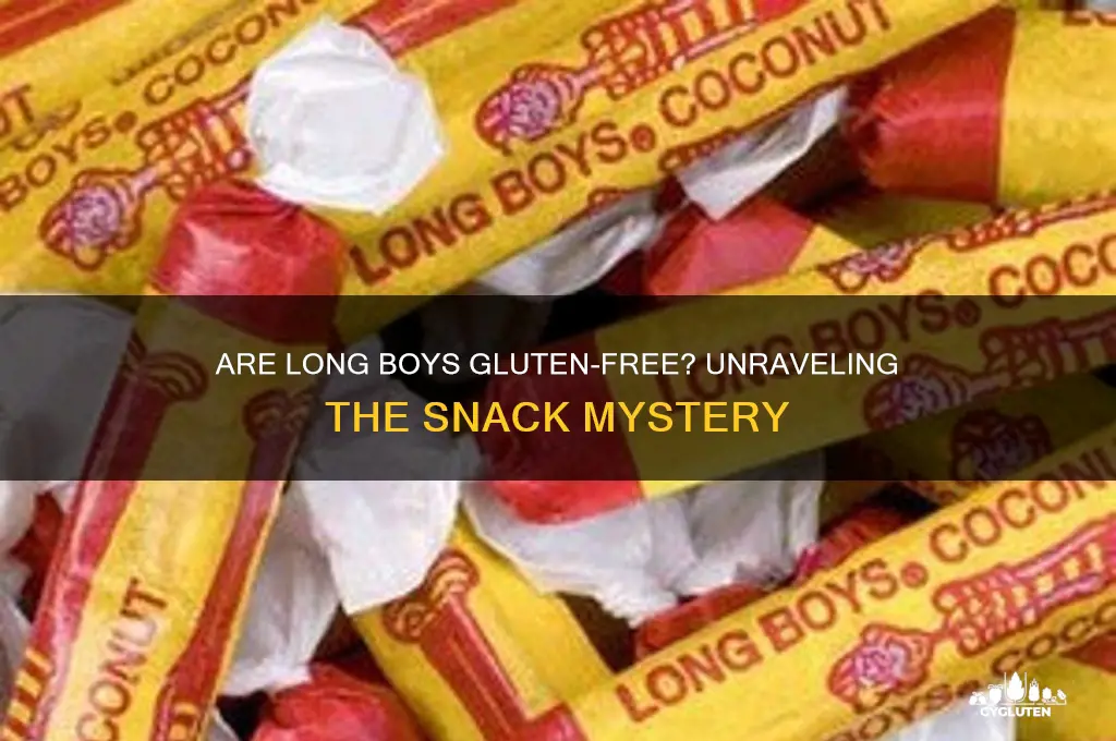 Are Long Boys Gluten-Free? Unraveling The Snack Mystery | CyGluten
