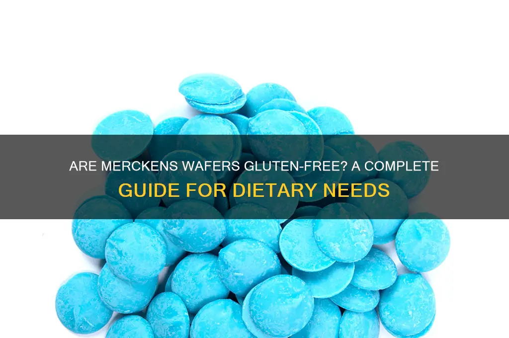 Are Merckens Wafers Gluten-Free? A Complete Guide For Dietary Needs ...