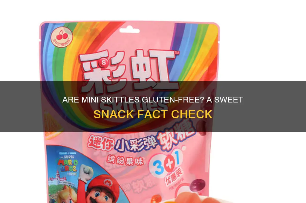Are Mini Skittles Gluten-Free? A Sweet Snack Fact Check | CyGluten