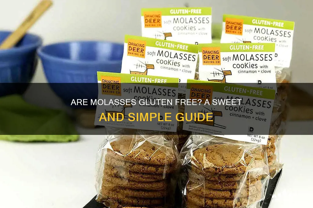 Are Molasses Gluten Free? A Sweet And Simple Guide | CyGluten