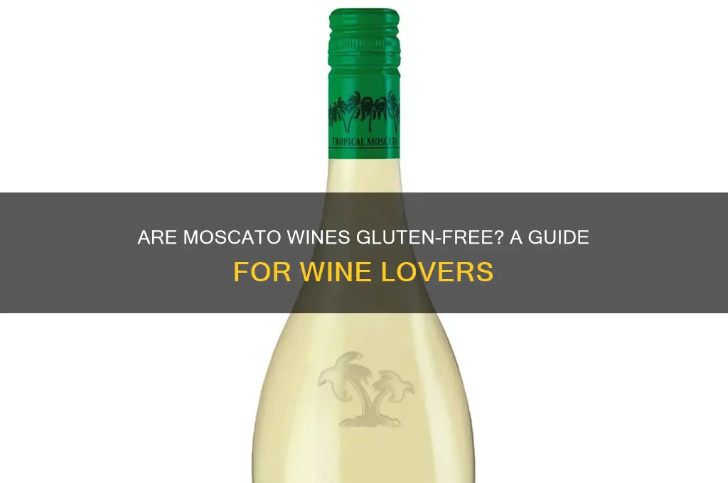 Are Moscato Wines Gluten-Free? A Guide For Wine Lovers | CyGluten