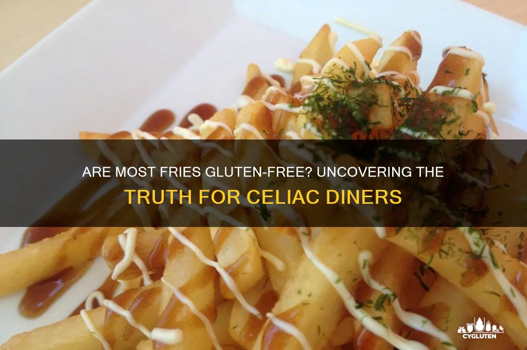 Are Most Fries Gluten-Free? Uncovering The Truth For Celiac Diners ...