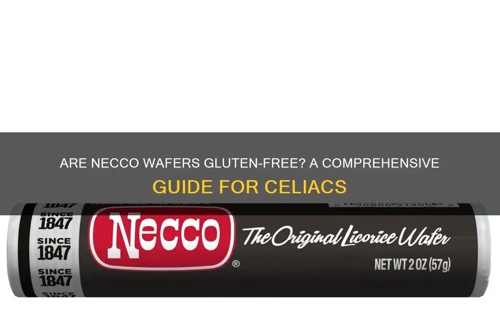 Are Necco Wafers Gluten-Free? A Comprehensive Guide For Celiacs | CyGluten