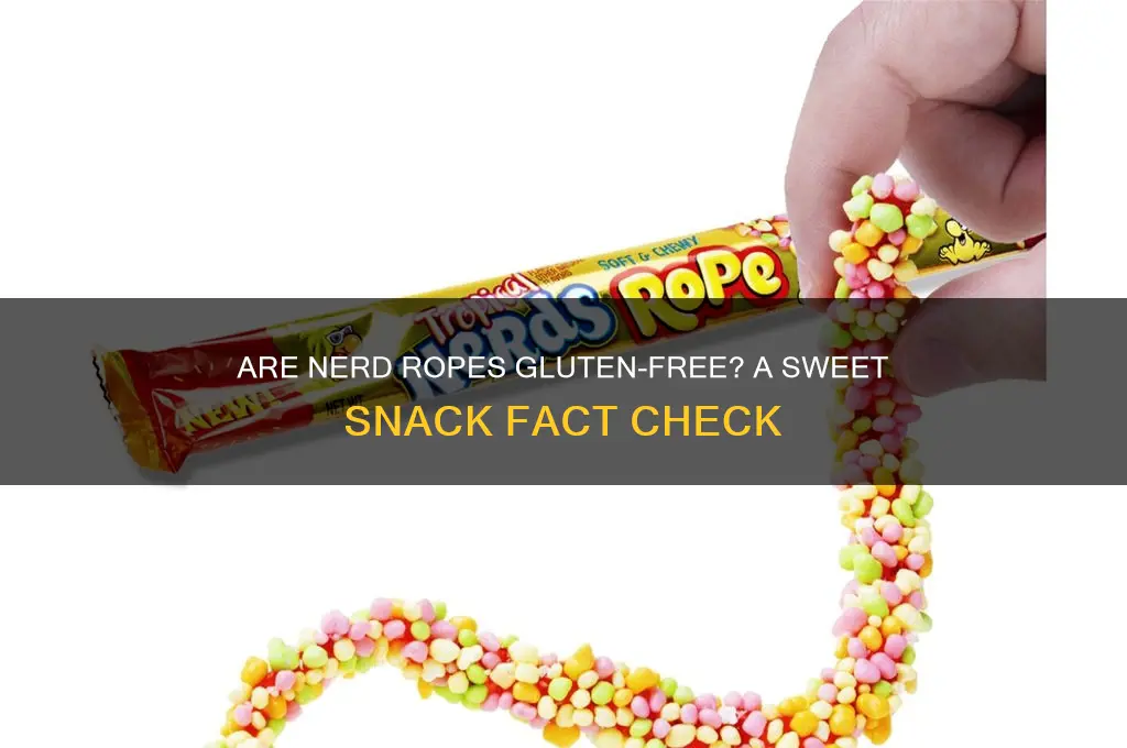 Are Nerd Ropes Gluten-Free? A Sweet Snack Fact Check | CyGluten