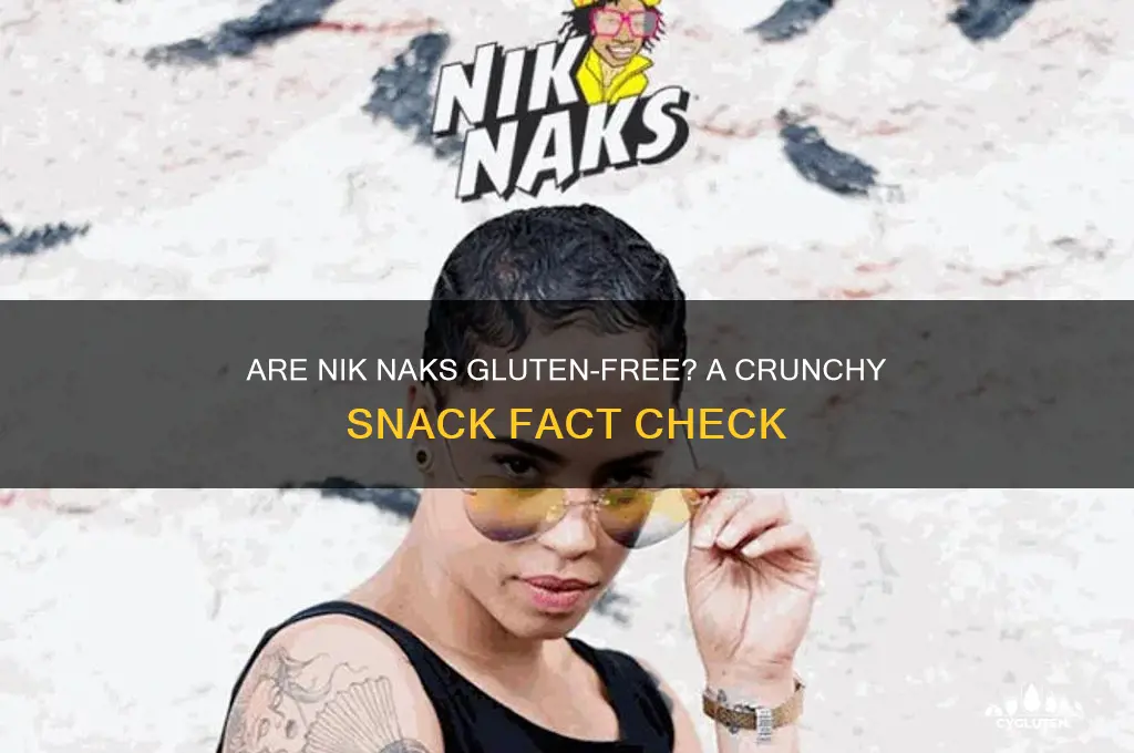 Are Nik Naks Gluten-Free? A Crunchy Snack Fact Check | CyGluten