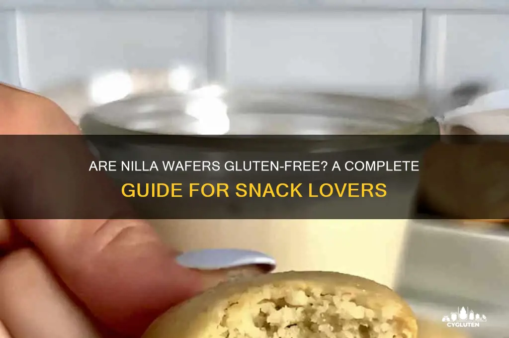 Are Nilla Wafers Gluten-Free? A Complete Guide For Snack Lovers | CyGluten
