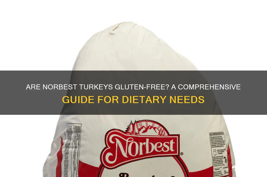 Are Norbest Turkeys Gluten-Free? A Comprehensive Guide For Dietary ...