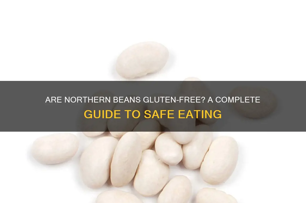 Are Northern Beans Gluten-Free? A Complete Guide To Safe Eating | CyGluten