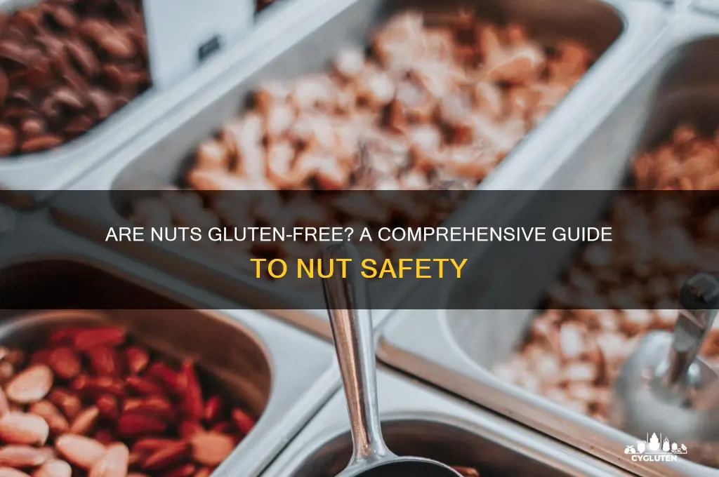Are Nuts Gluten-Free? A Comprehensive Guide To Nut Safety | CyGluten