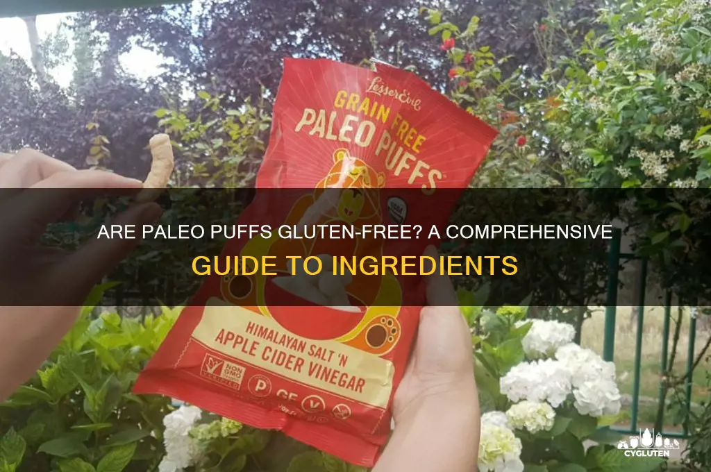 Are Paleo Puffs Gluten-Free? A Comprehensive Guide To Ingredients ...