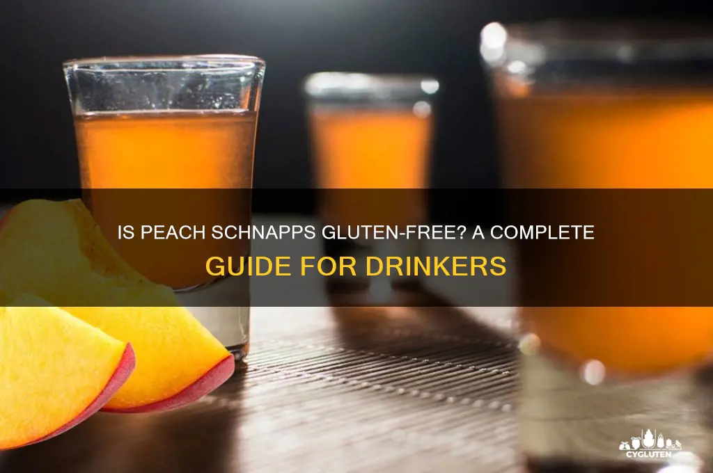 Is Peach Schnapps Gluten-Free? A Complete Guide For Drinkers | CyGluten