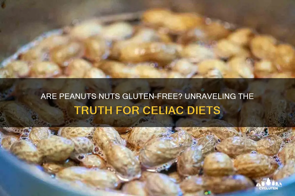 Are Peanuts Nuts Gluten-Free? Unraveling The Truth For Celiac Diets ...