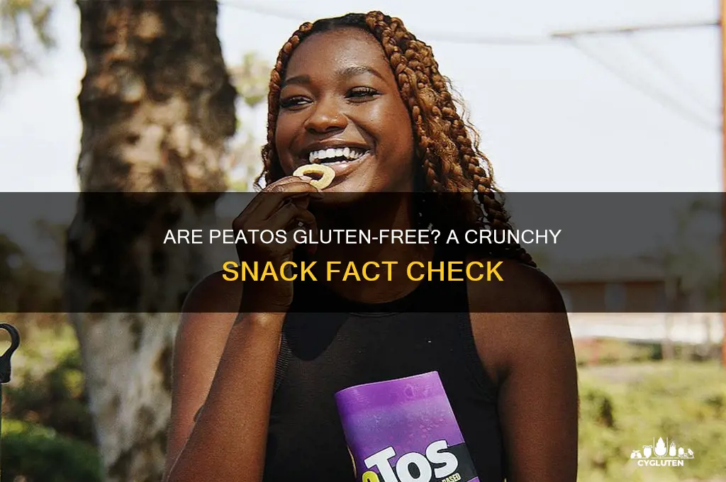 Are Peatos Gluten-Free? A Crunchy Snack Fact Check | CyGluten