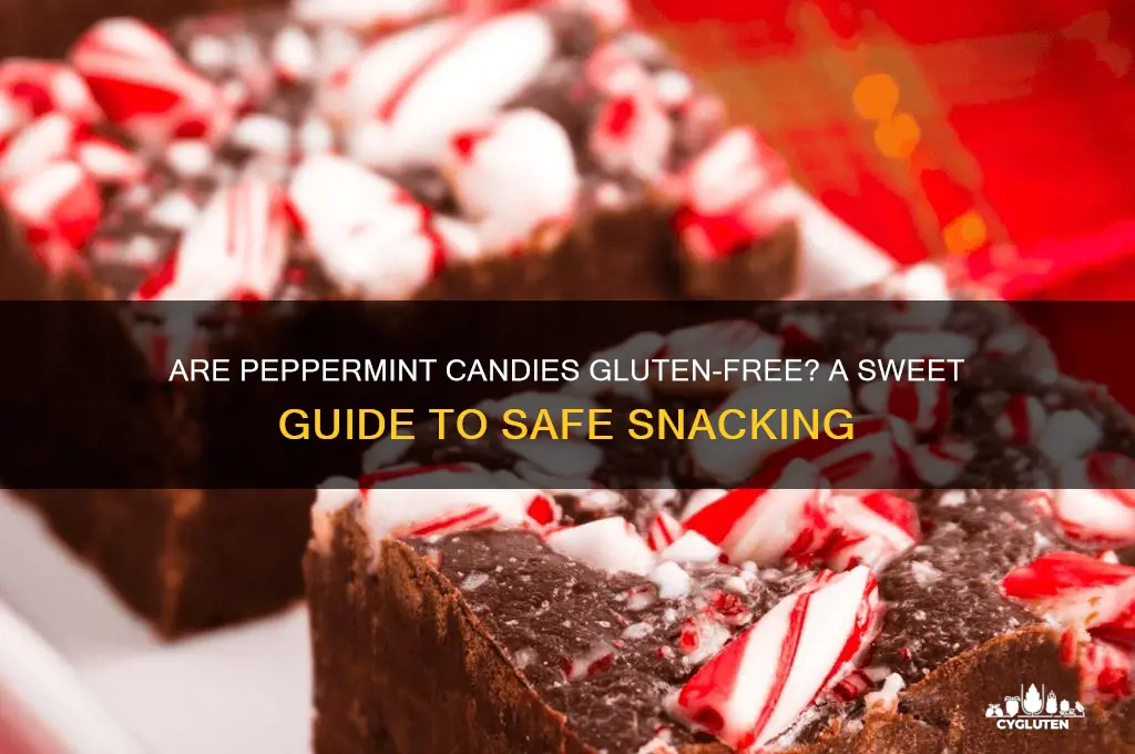 Are Peppermint Candies Gluten-Free? A Sweet Guide To Safe Snacking ...
