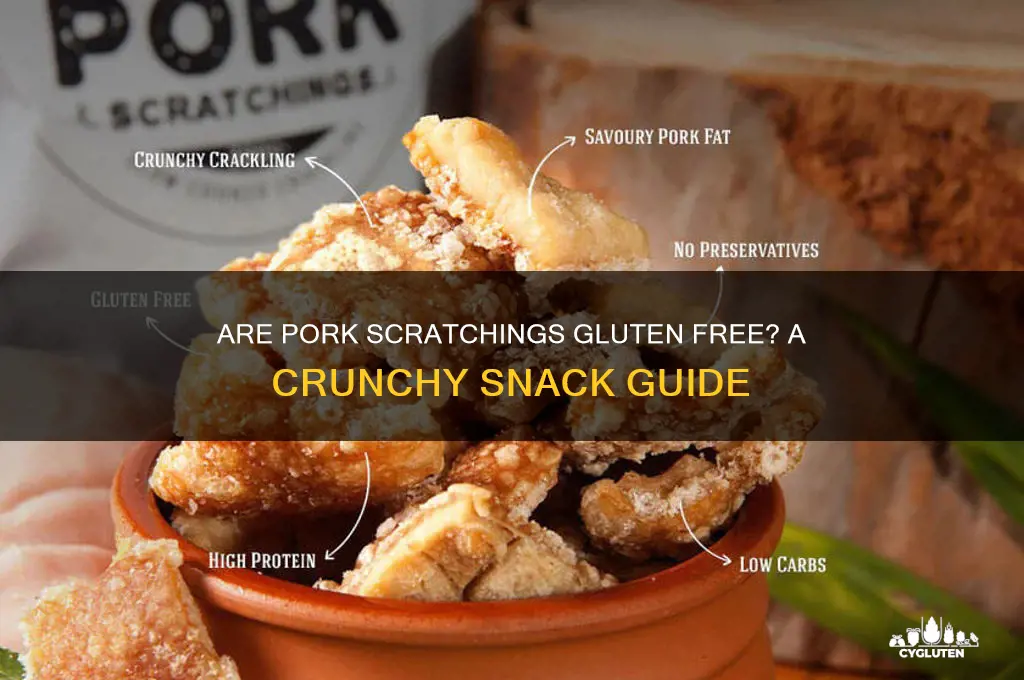 Are Pork Scratchings Gluten Free? A Crunchy Snack Guide | CyGluten