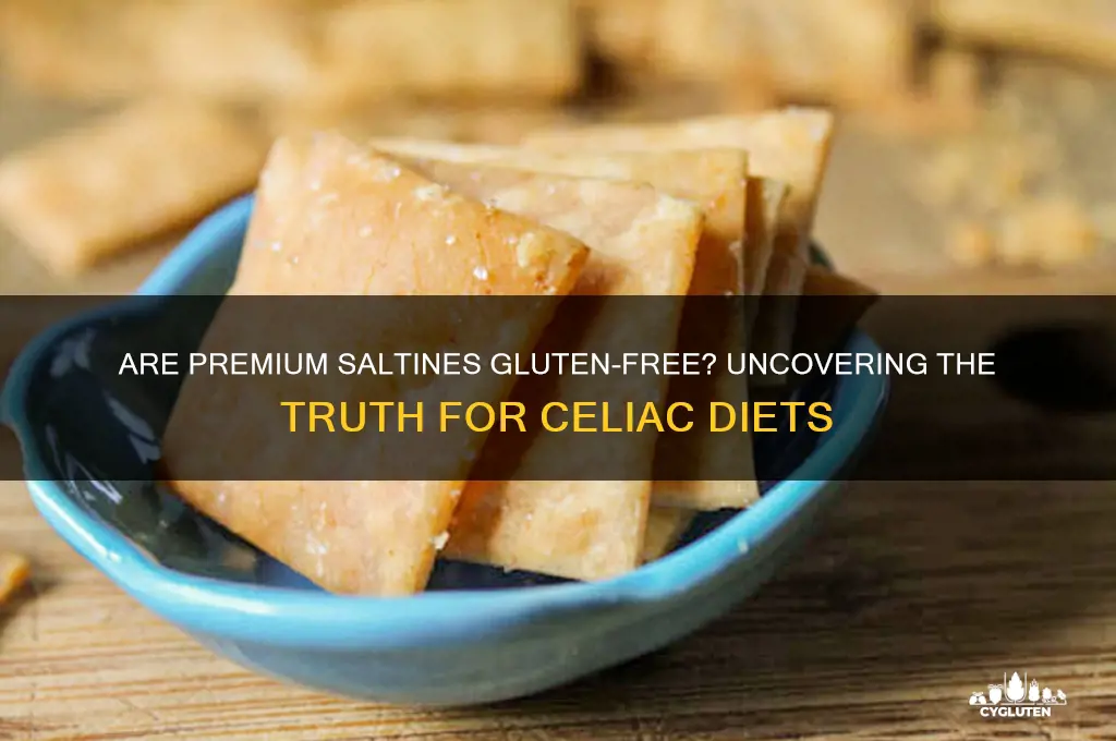Are Premium Saltines Gluten-Free? Uncovering The Truth For Celiac Diets ...