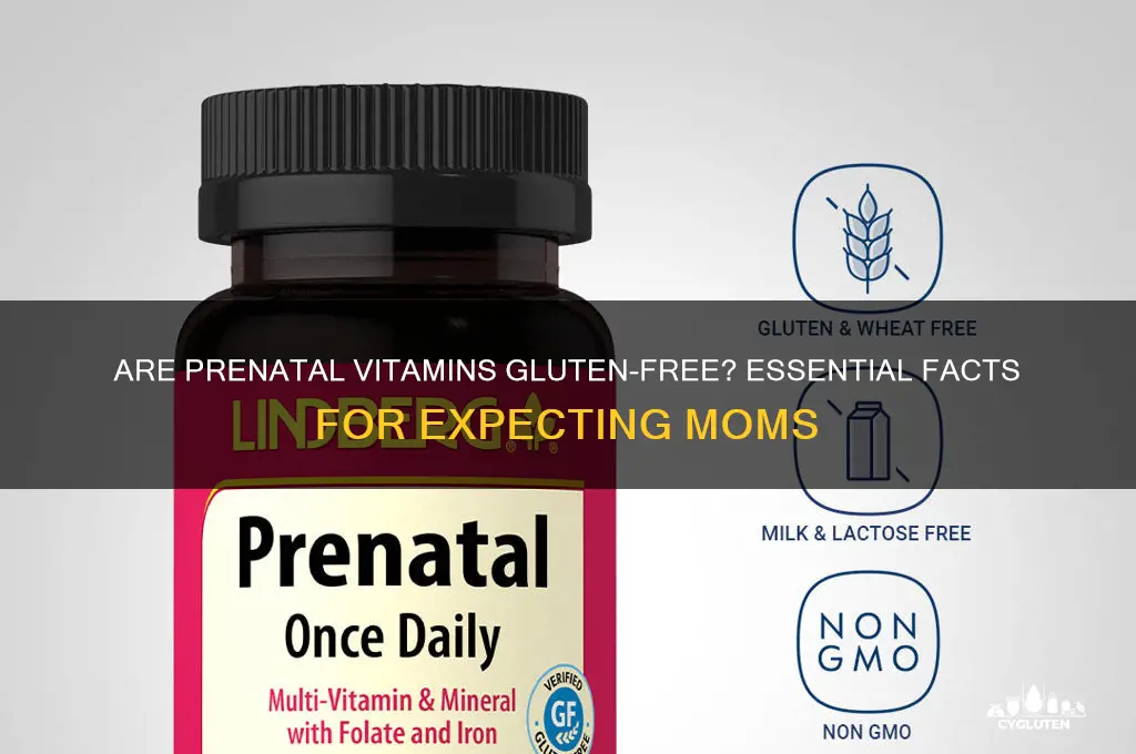 Are Prenatal Vitamins Gluten-Free? Essential Facts For Expecting Moms ...