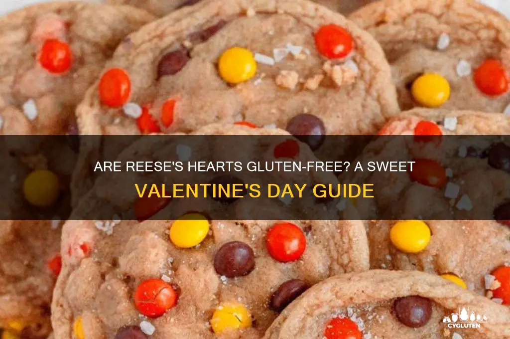 Are Reese's Hearts Gluten-Free? A Sweet Valentine's Day Guide | CyGluten