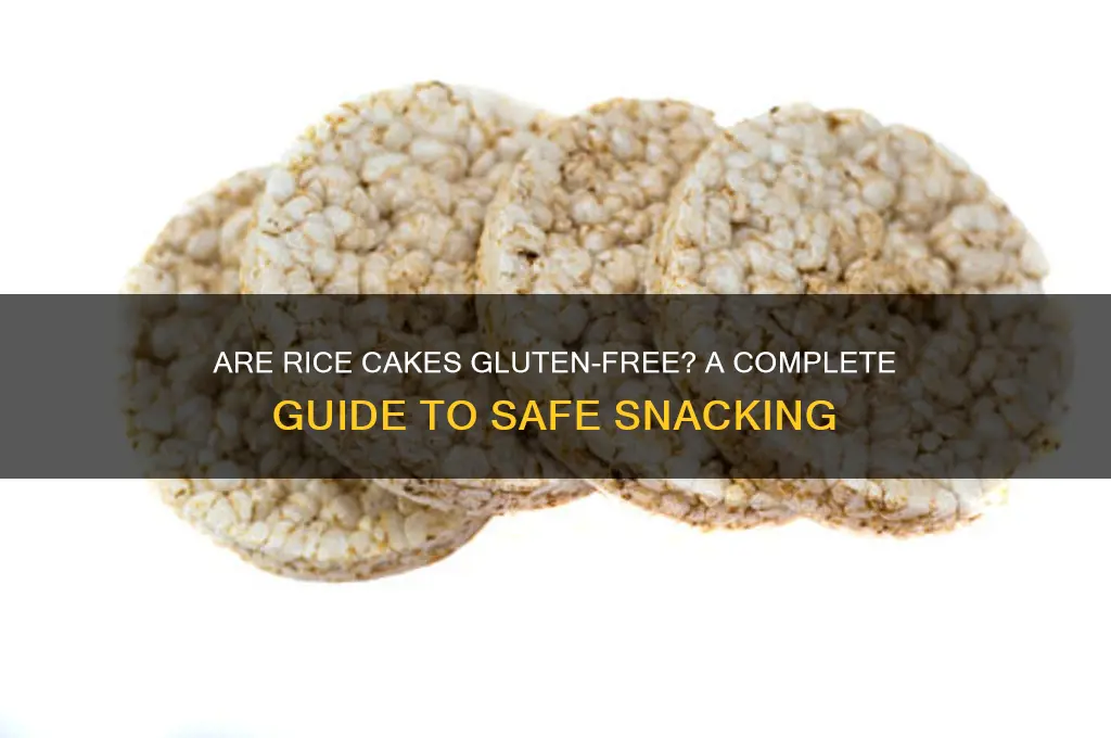 Are Rice Cakes Gluten-Free? A Complete Guide To Safe Snacking | CyGluten